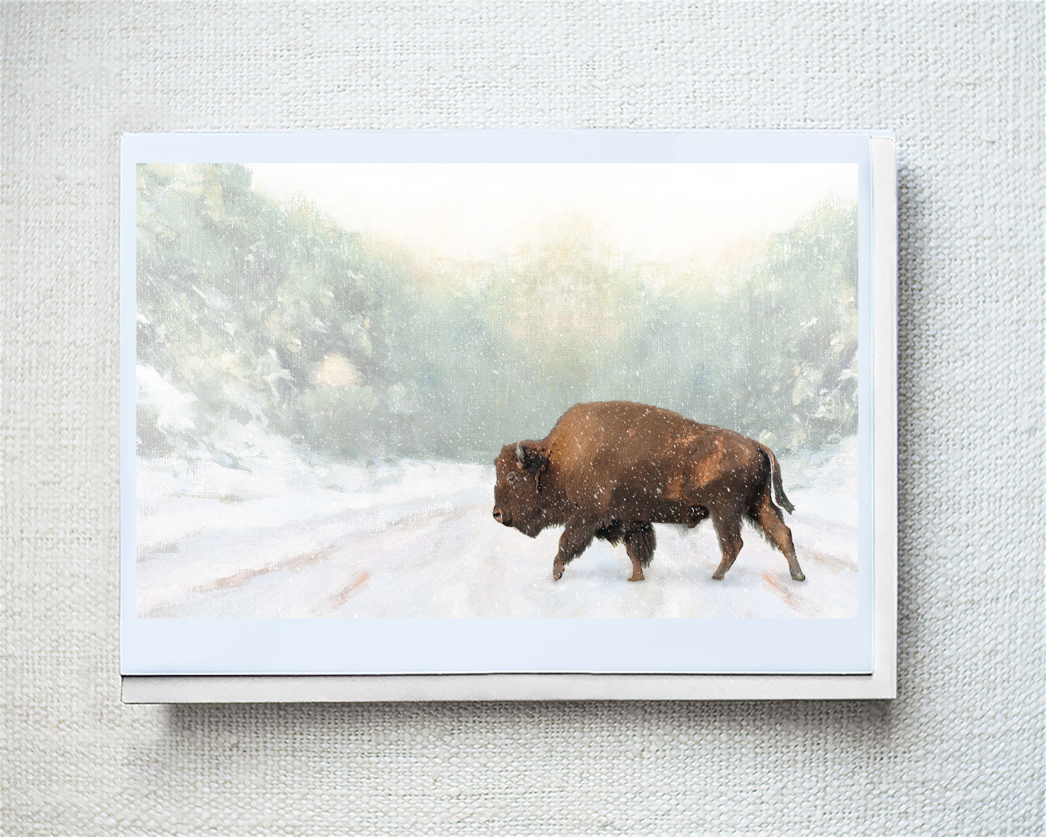 American Bison Greeting Card - Holiday 10 Pack – Hooray For The Underdog!